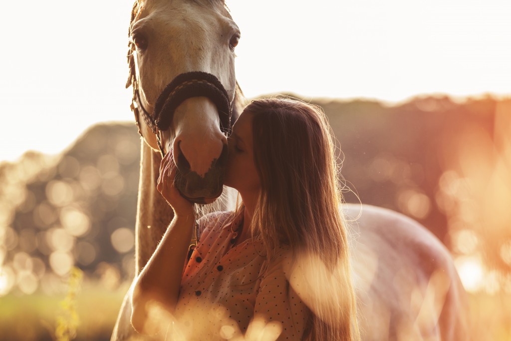 Types of Bridles and How to Choose the Right One - Types of Bridles You ...