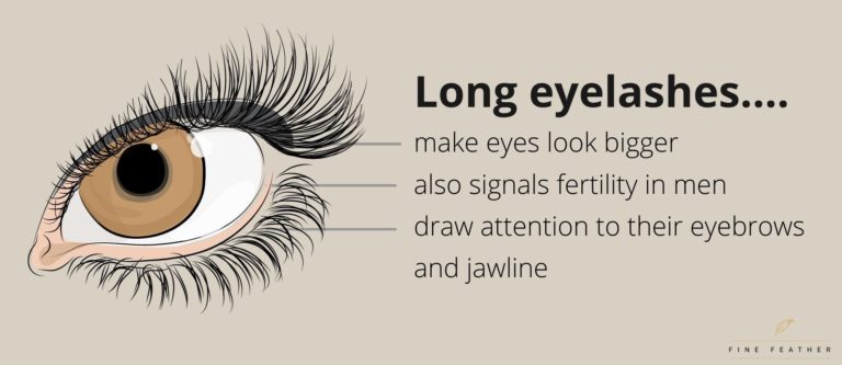 Why are Long Eyelashes Attractive on Men - Fine Feather Heads