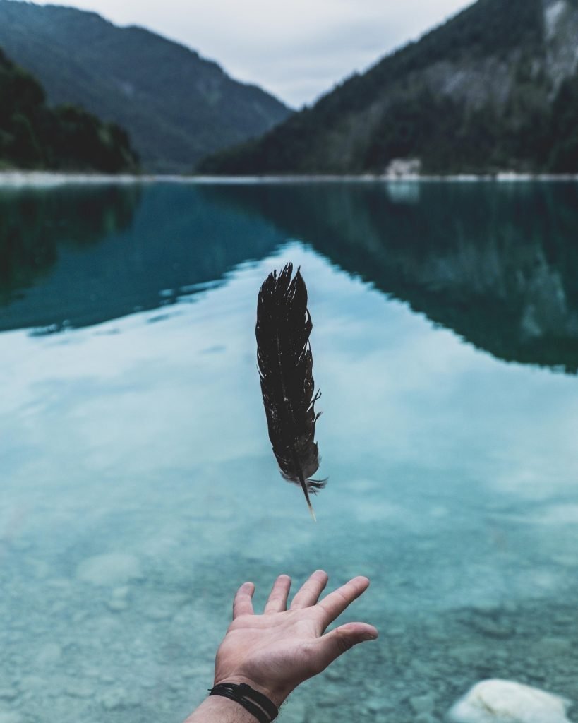 What Does a Brown Feather Mean? - Fine Feather Heads